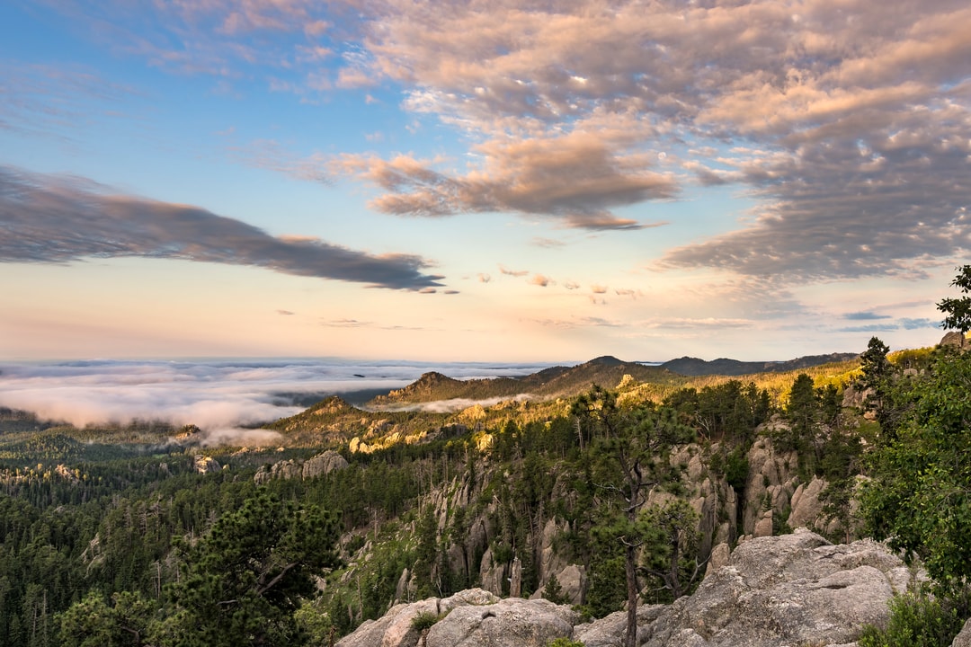 Home | Custer Chamber of Commerce | Custer Chamber of Commerce